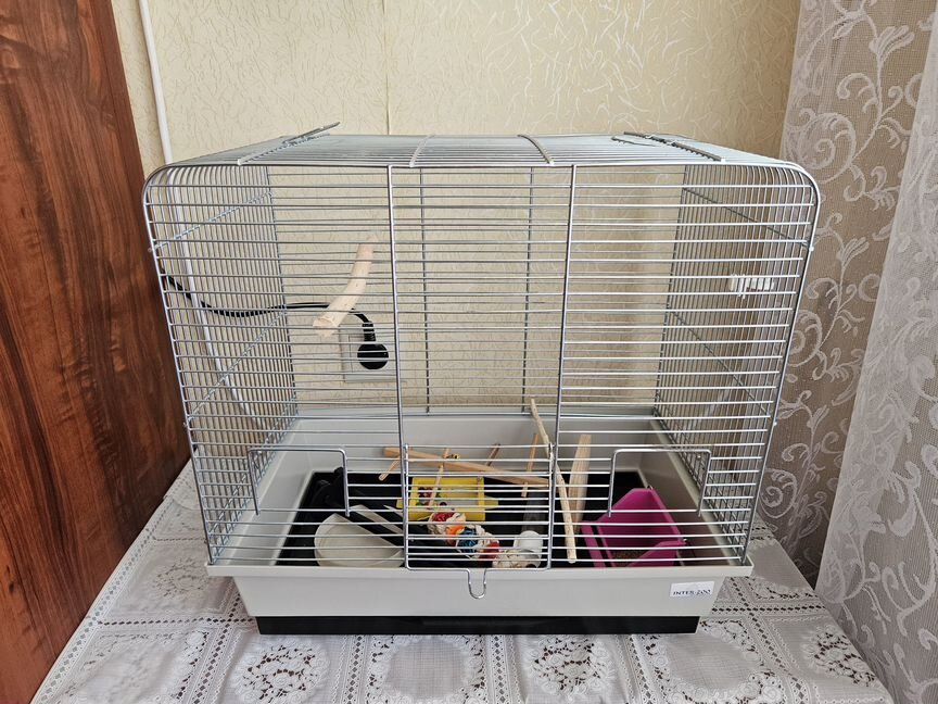 Клетка для попугая с аксессуарами