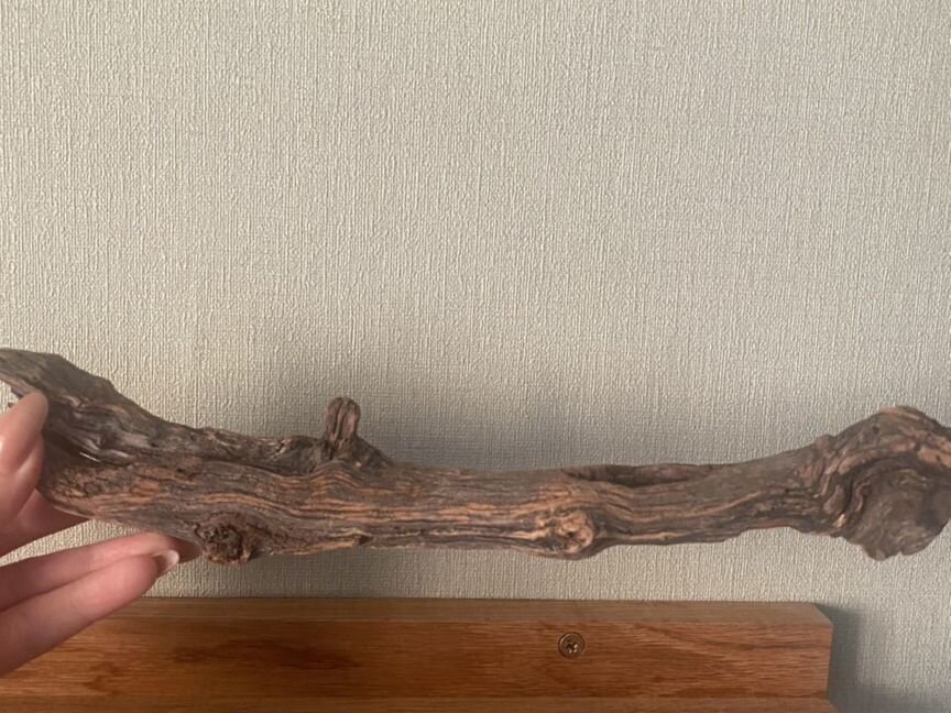 Дрифтвуд коряга виноградная лоза