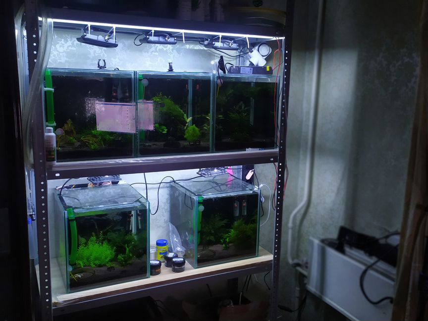 Аквариум 30л / Свет / Фильтр