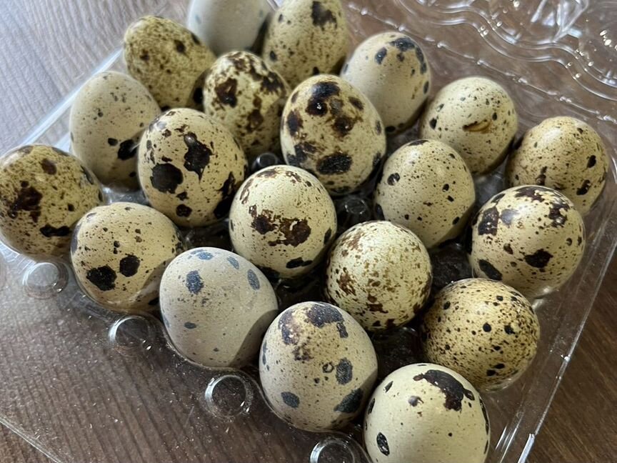 Яйца перепелиные домашние
