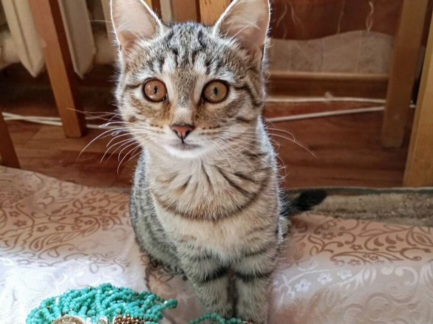 Со мной не страшно одиночество