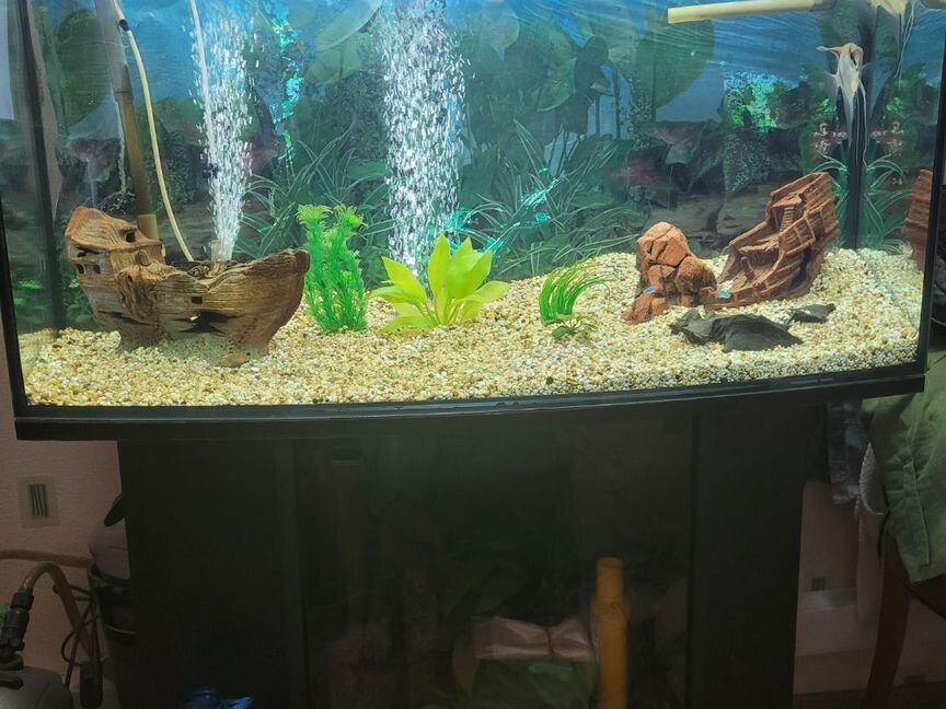 Аквариум и тумба