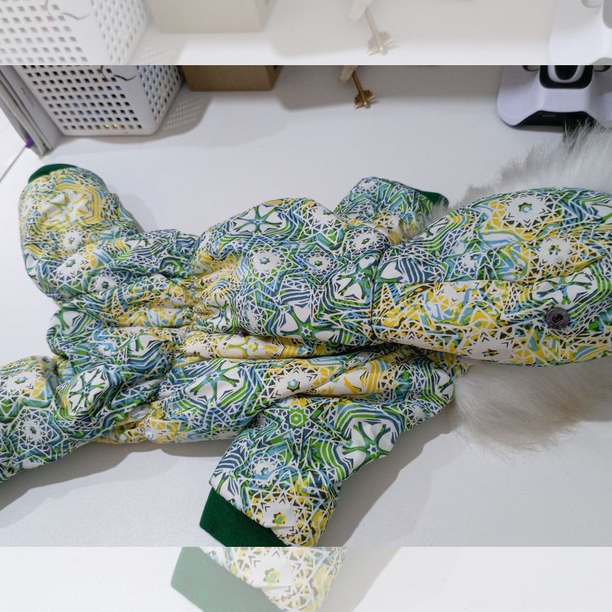 Одежда для маленьких собак