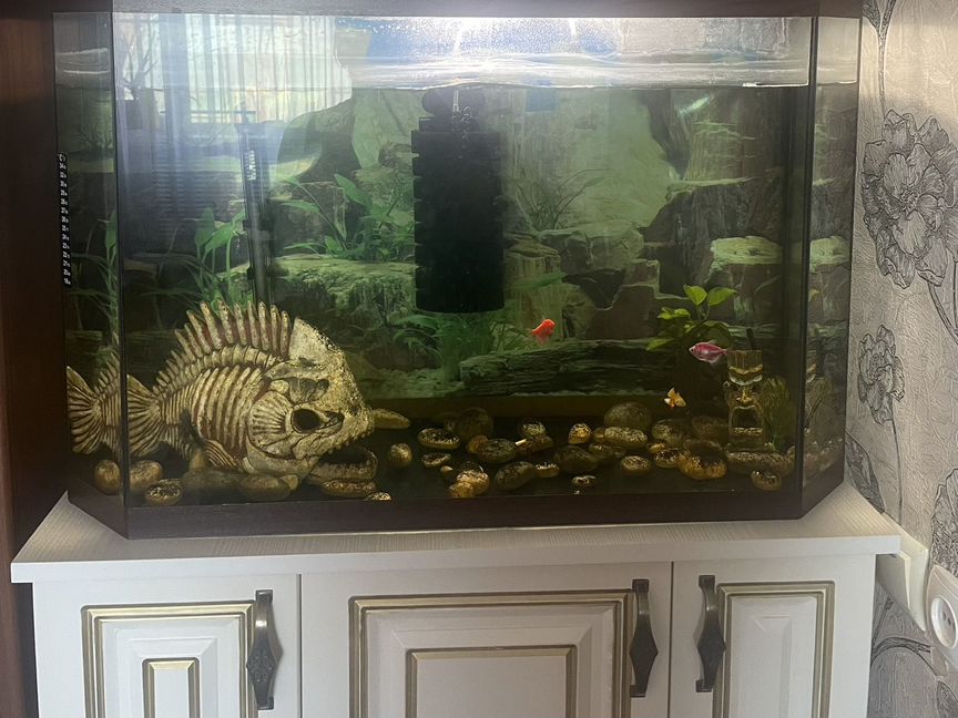 Аквариум