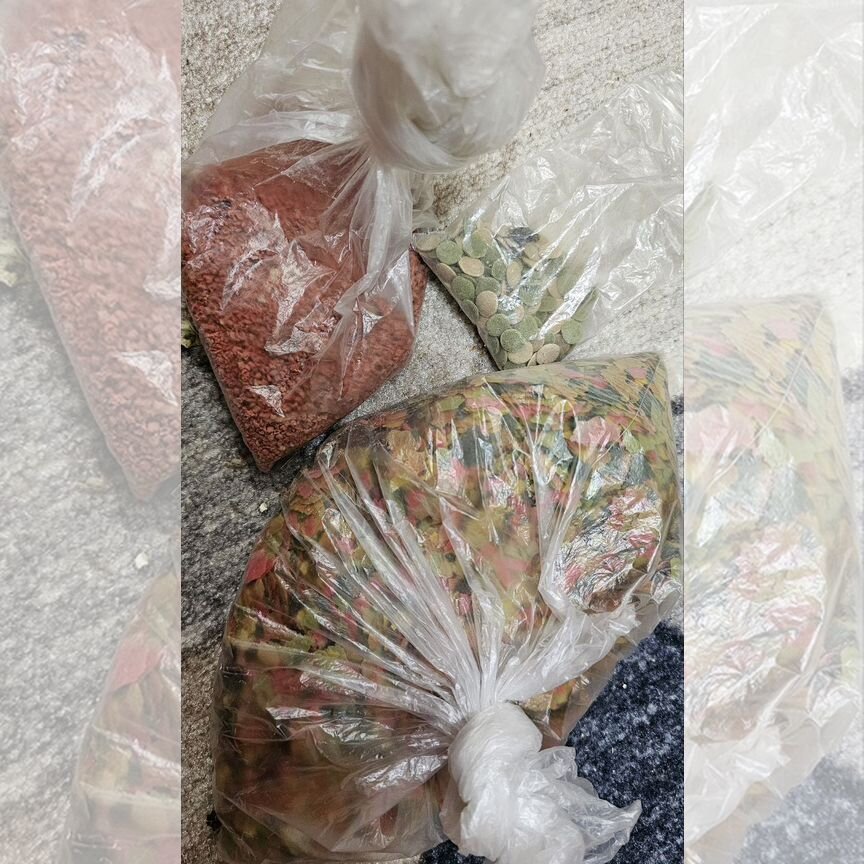 Корм для аквариумных рыбок за шоколадку