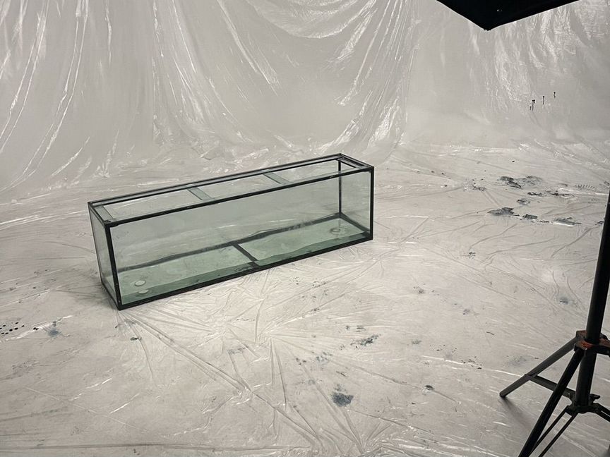 Аквариум в аренду