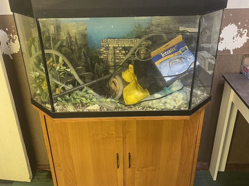 Аквариум 140л с тумбой и оборудованием