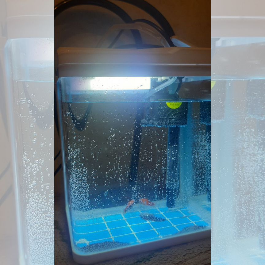 Аквариум с рыбками