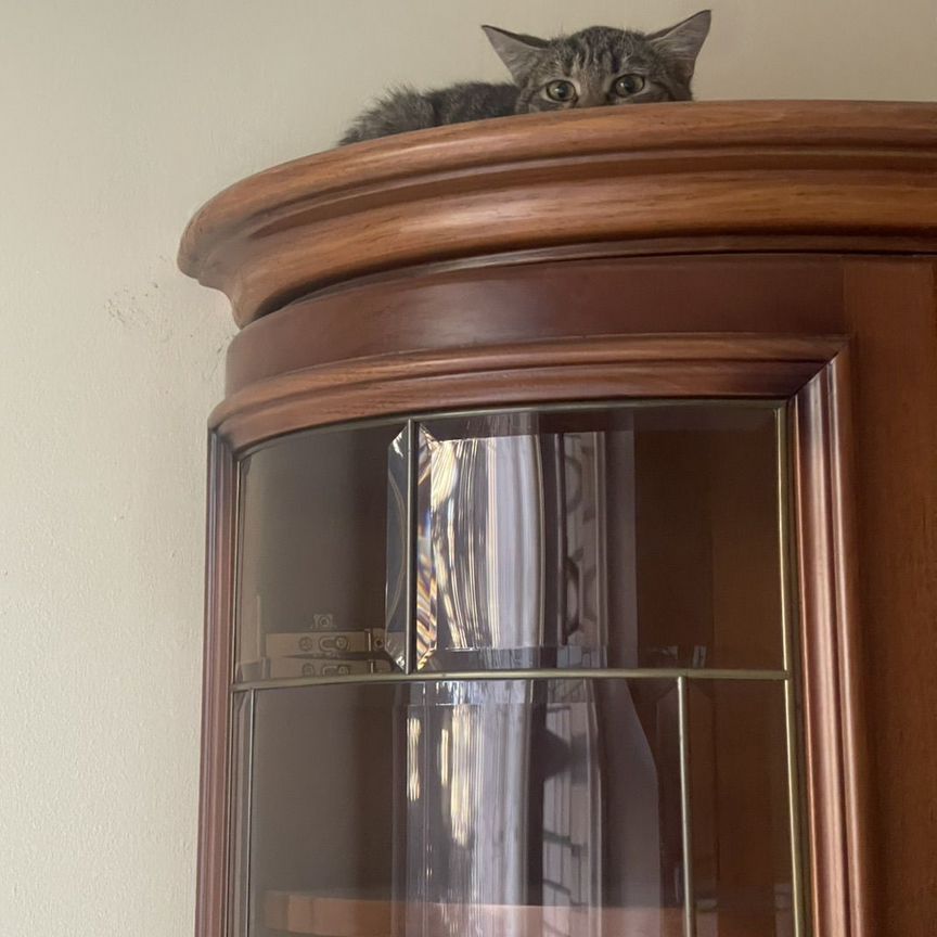 Нежная Синди