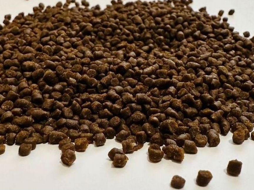 Корм для рыб форель осетр карп