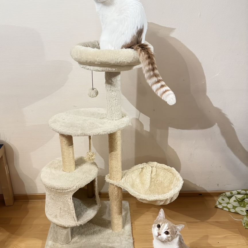 Когтеточка/домик