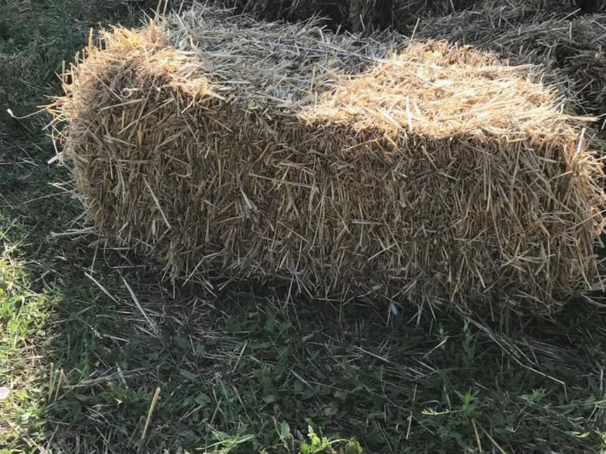 Сено в квадратных тюках, и круглых