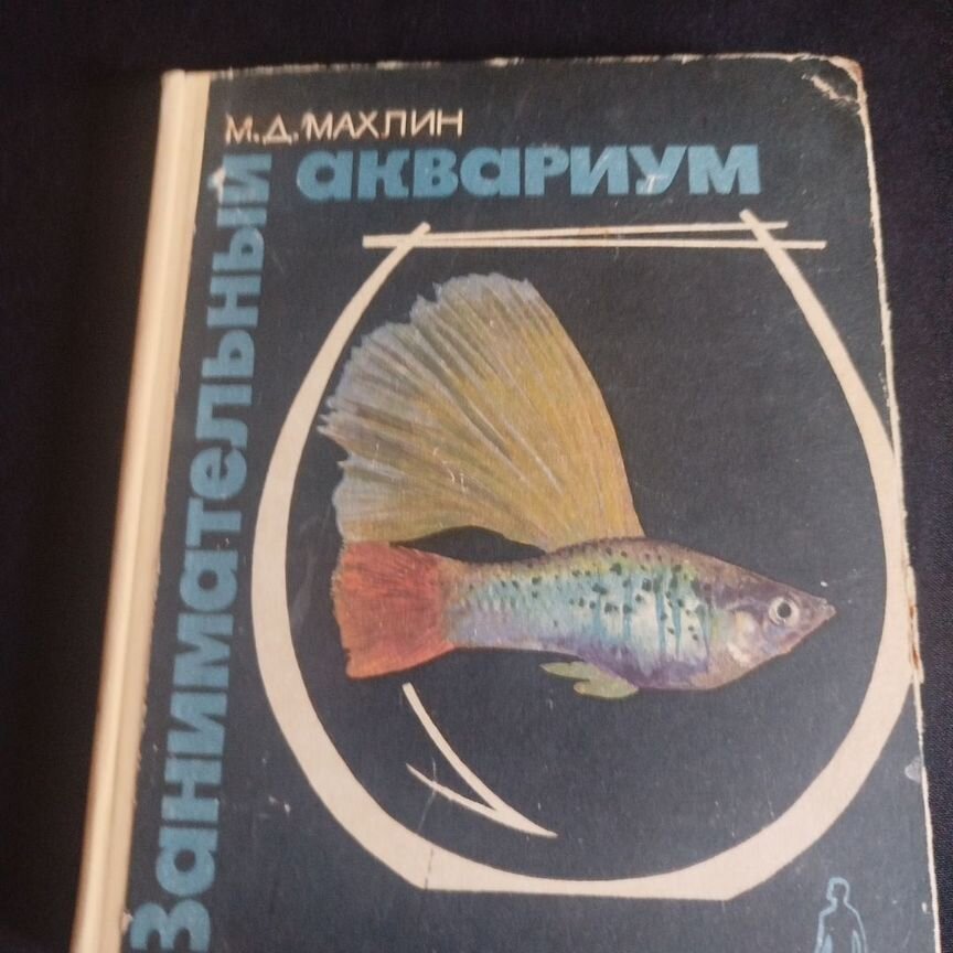 Занимательный аквариум