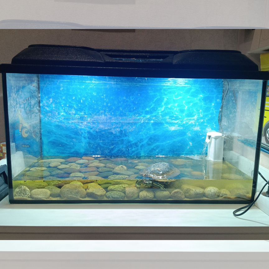 Аквариум для рыбок и черепах