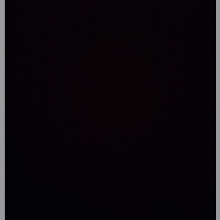 Сибирский хаски, взрослый пёс