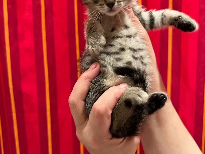 Малышка, 1мес. и 1 неделя