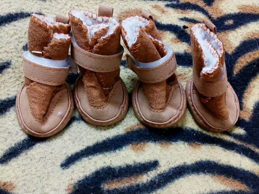 Ботинки для декоративных собачек