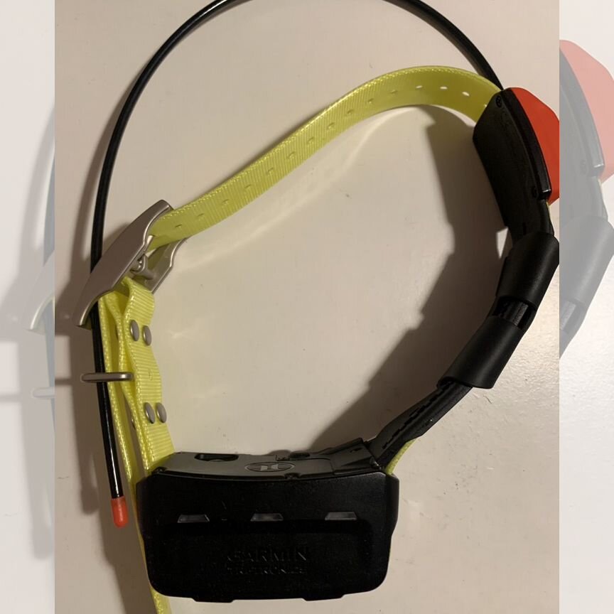 Ошейник garmin т 5 европа новый