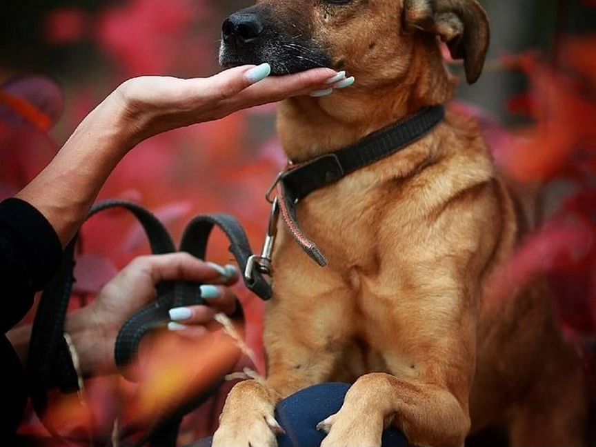 Злата хочет домой