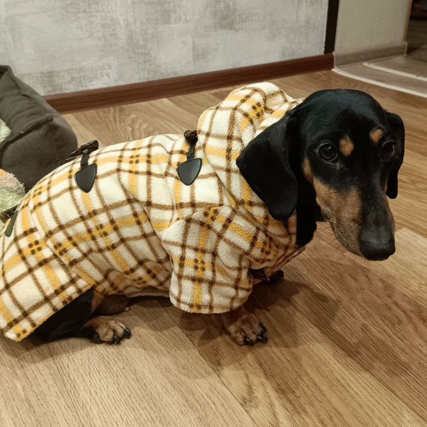 Пальто для маленьких собачек