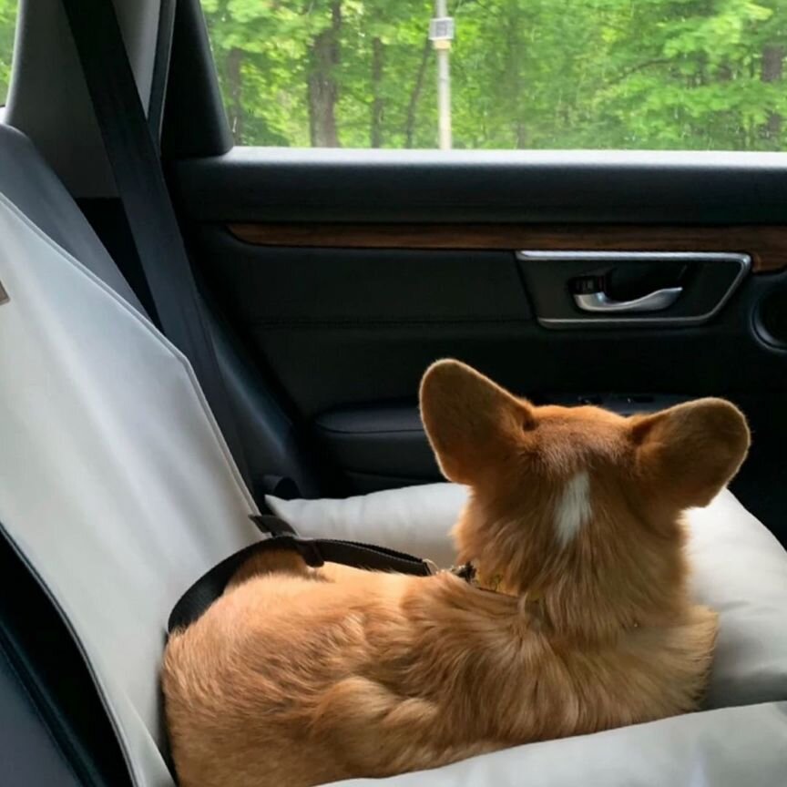 Автокресло для собак Pet Bed