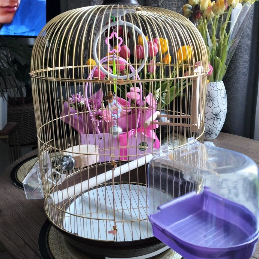 Клетка для птиц