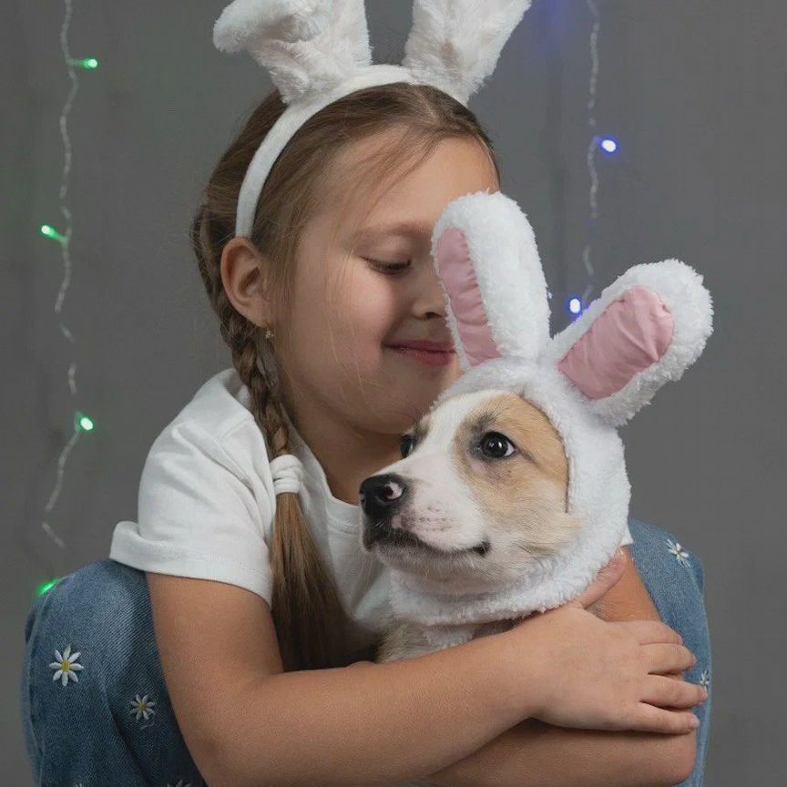 Щенок мальчик в добрые руки