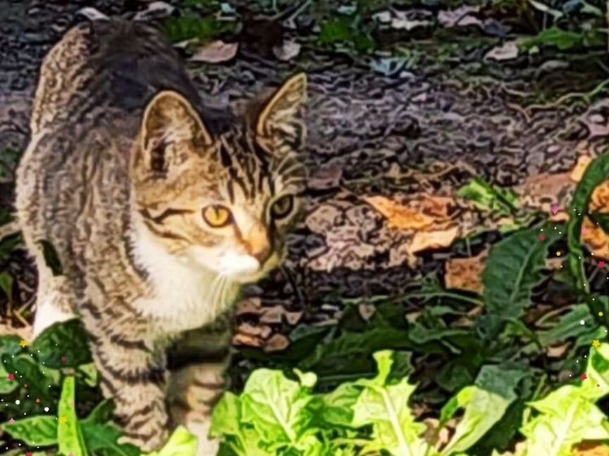 Малыш замерзает