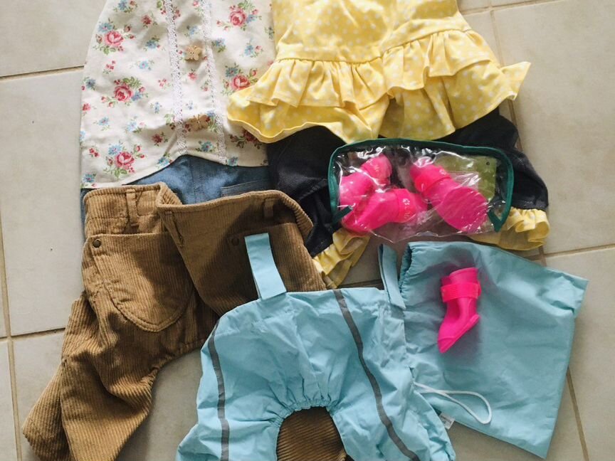 Одежда и обувь для собак