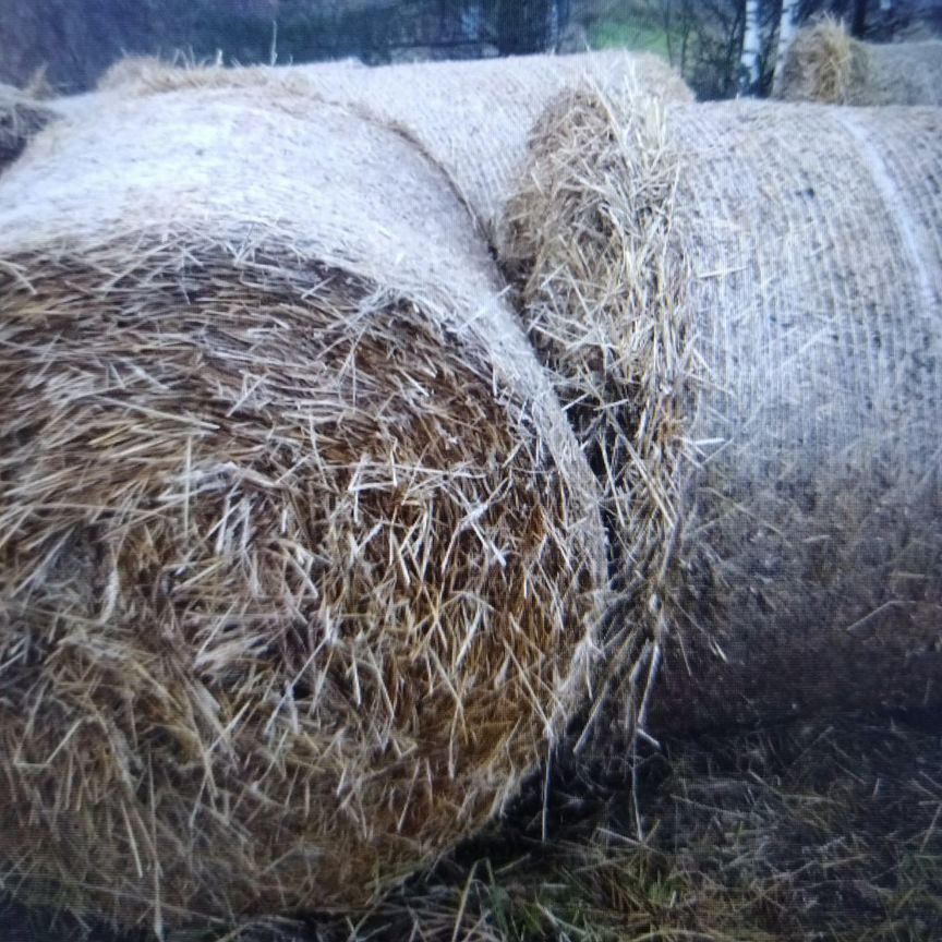 Солома в рулонах