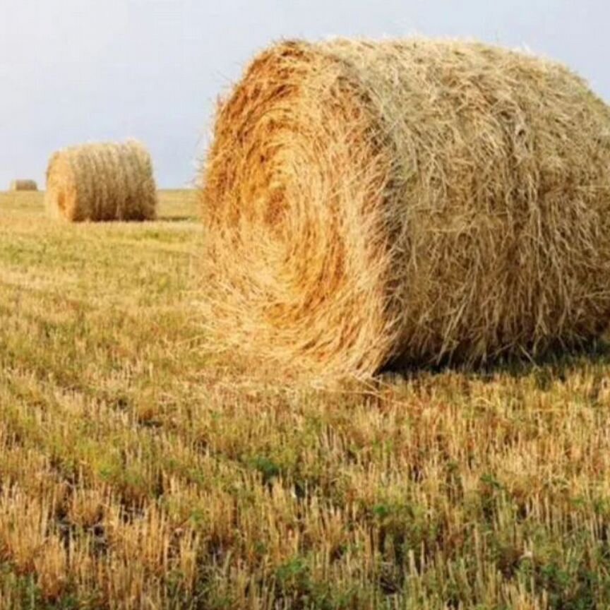 Продам солому