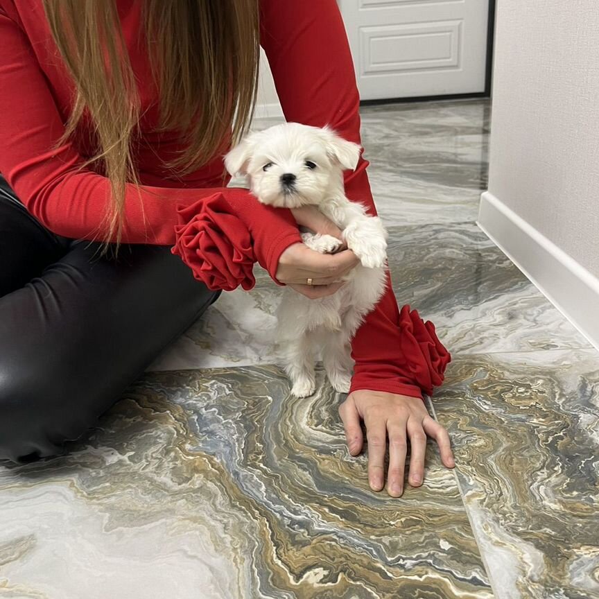 Сладкая булочка