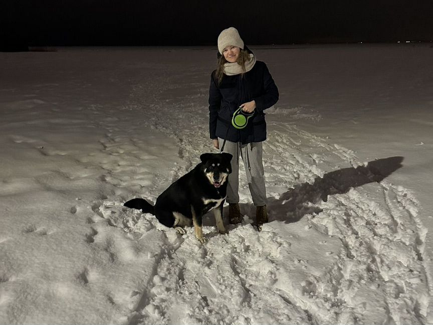 Собака в добрые руки