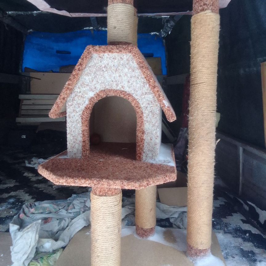 Когтеточка