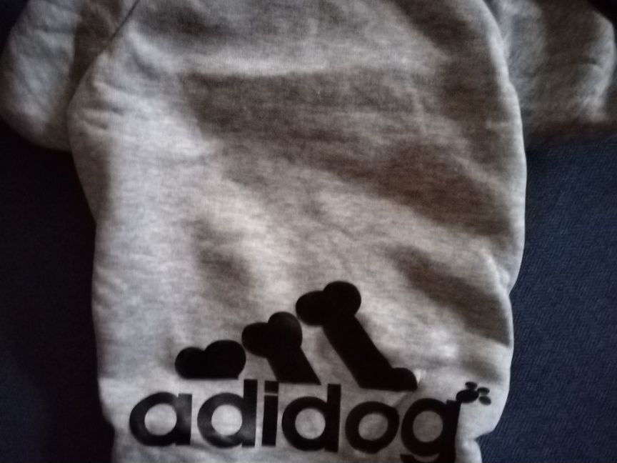 Свитшот для собак мелких пород