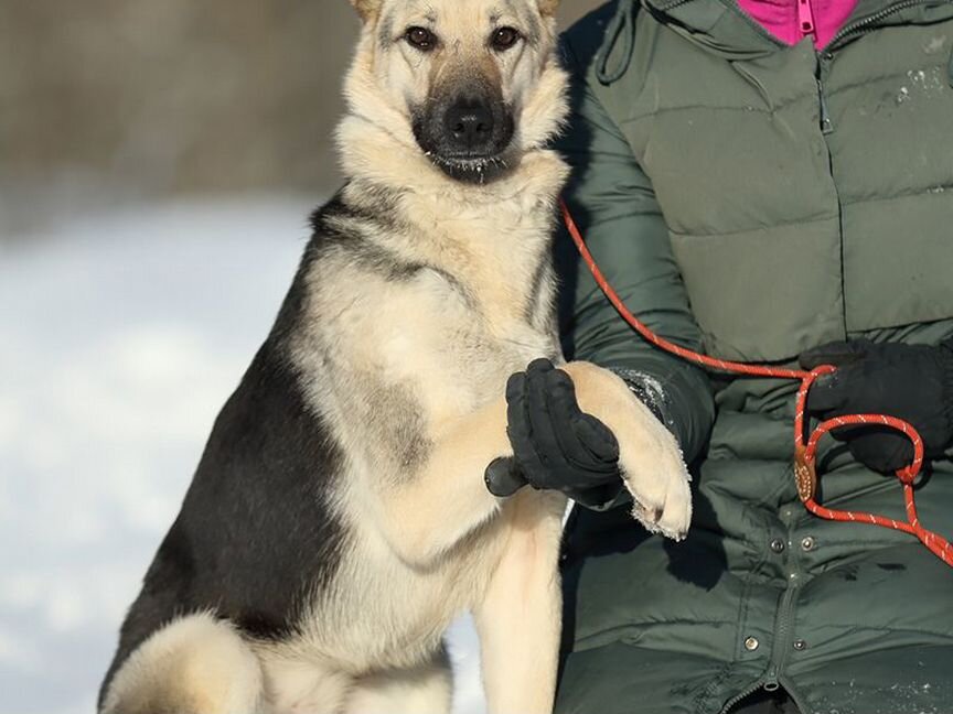 Молоденькая девочка из приюта ищет дом
