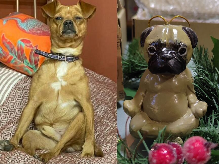 Дзен ищет дом
