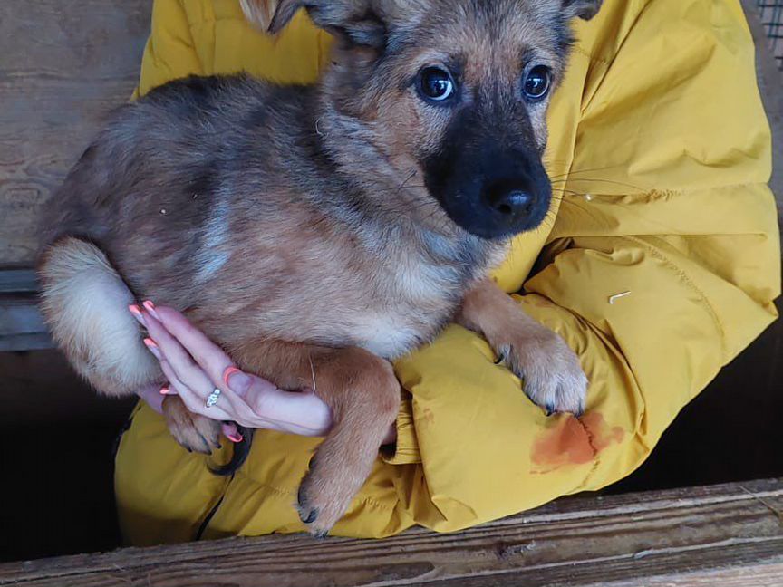 Малышата из приюта ищут дом