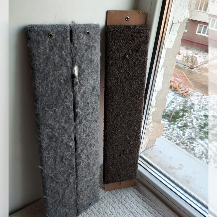 Когтеточка