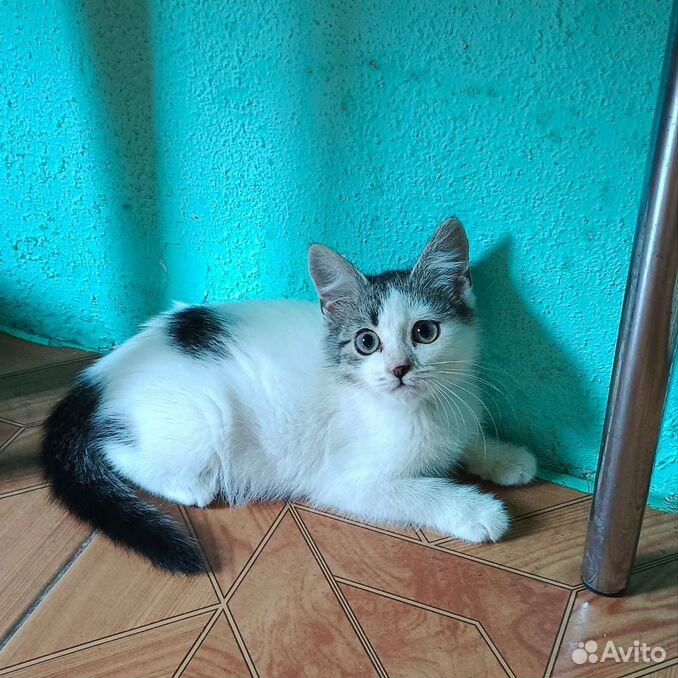 Машуня ищет семью