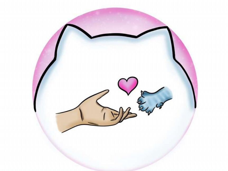 Ищем помощника в приют для животных