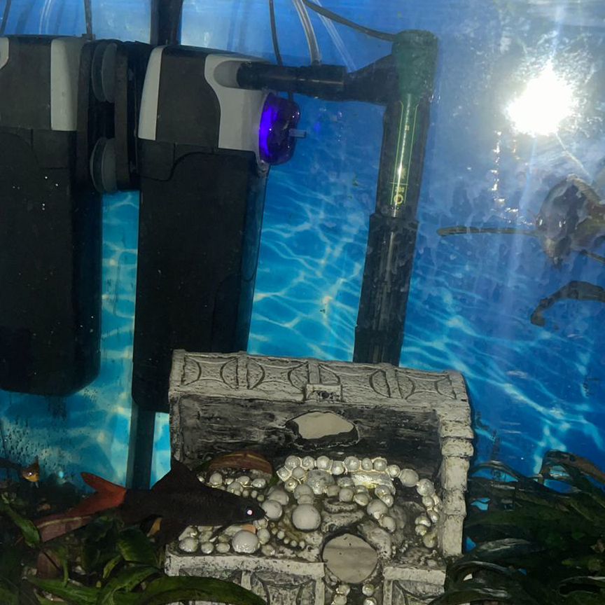 Фильтр для аквариума внутренний