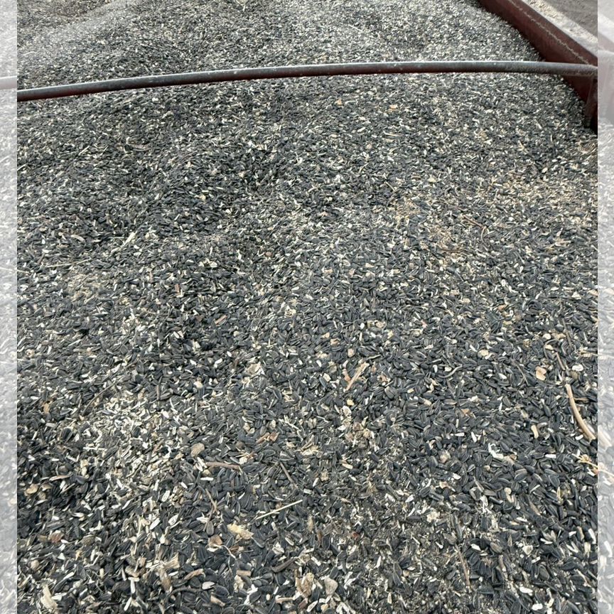 Отходы семечек