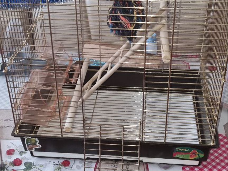 Клетка для попугая