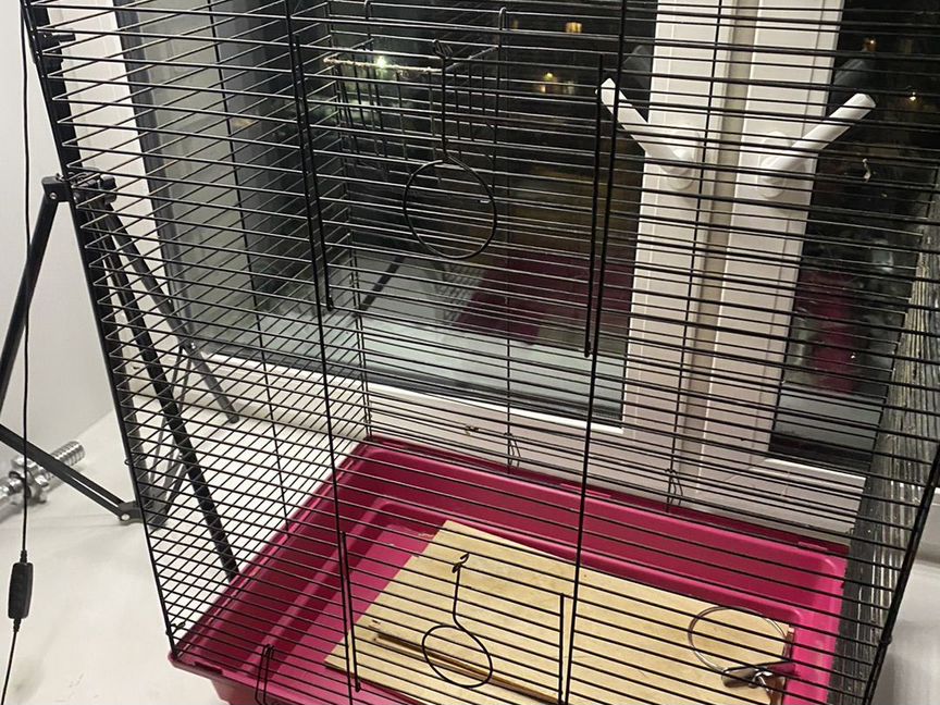 Клетка для шиншилл, дегу