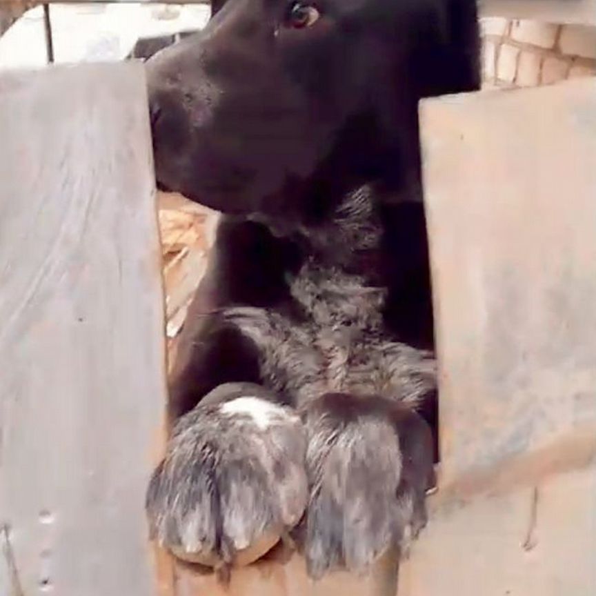 Ищет страстную подругу