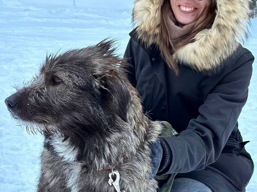 Собака в добрые руки