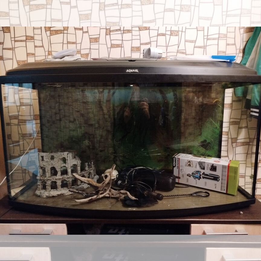 Аквариум