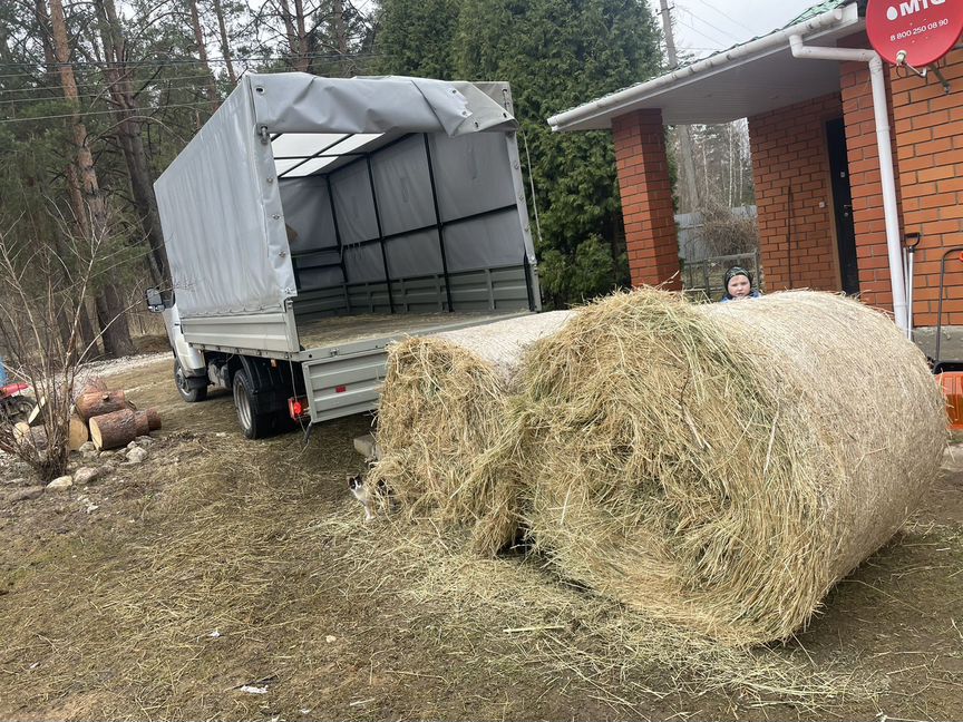 Продам сено в рулонах