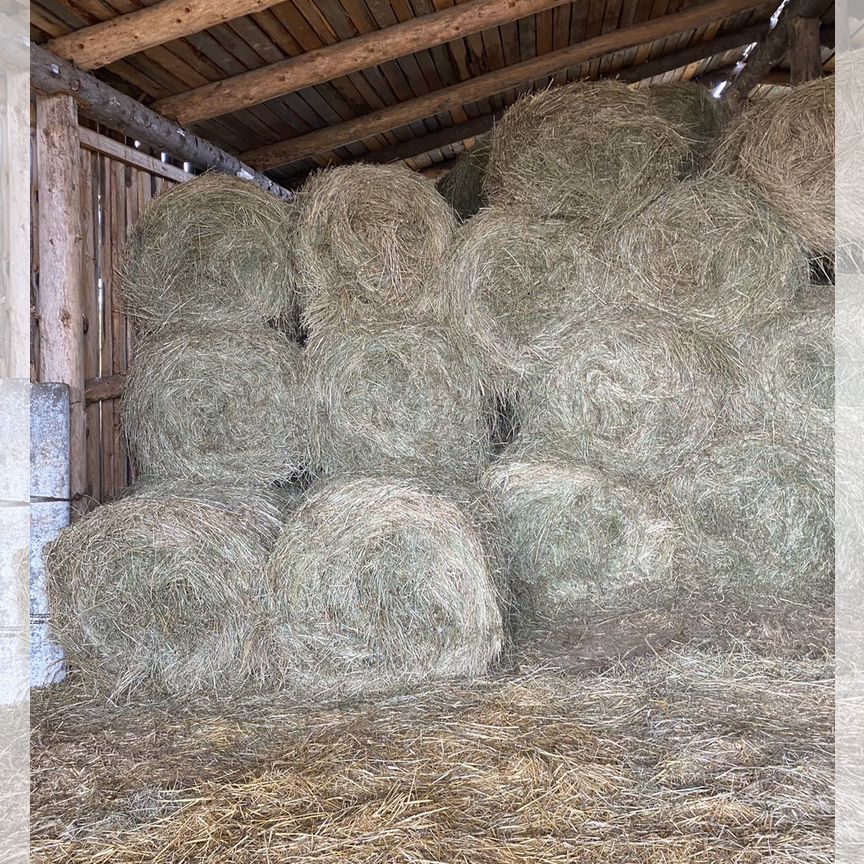 Сено в рулонах